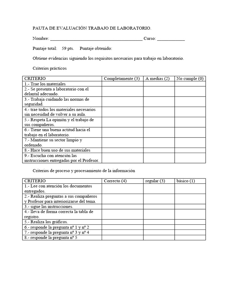 Pauta de Evaluación Trabajo de Laboratorio | PDF