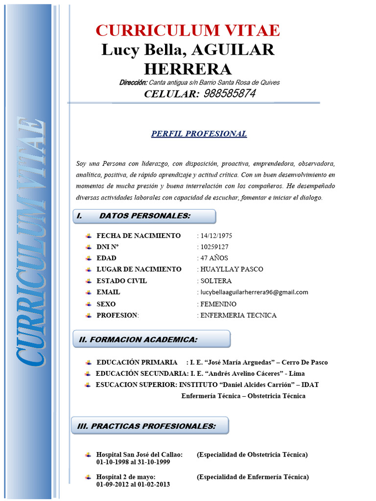 Curriculum Vitae Bella | PDF | Cuidado de la salud | Medicina