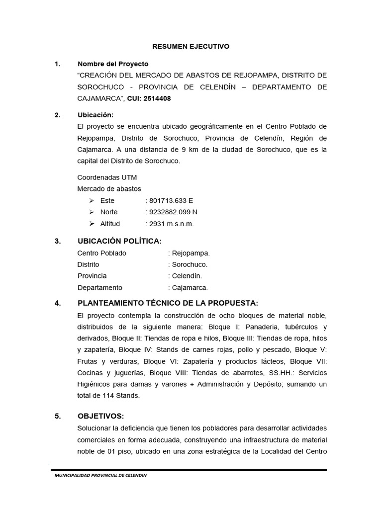 Resumen Ejecutivo | PDF