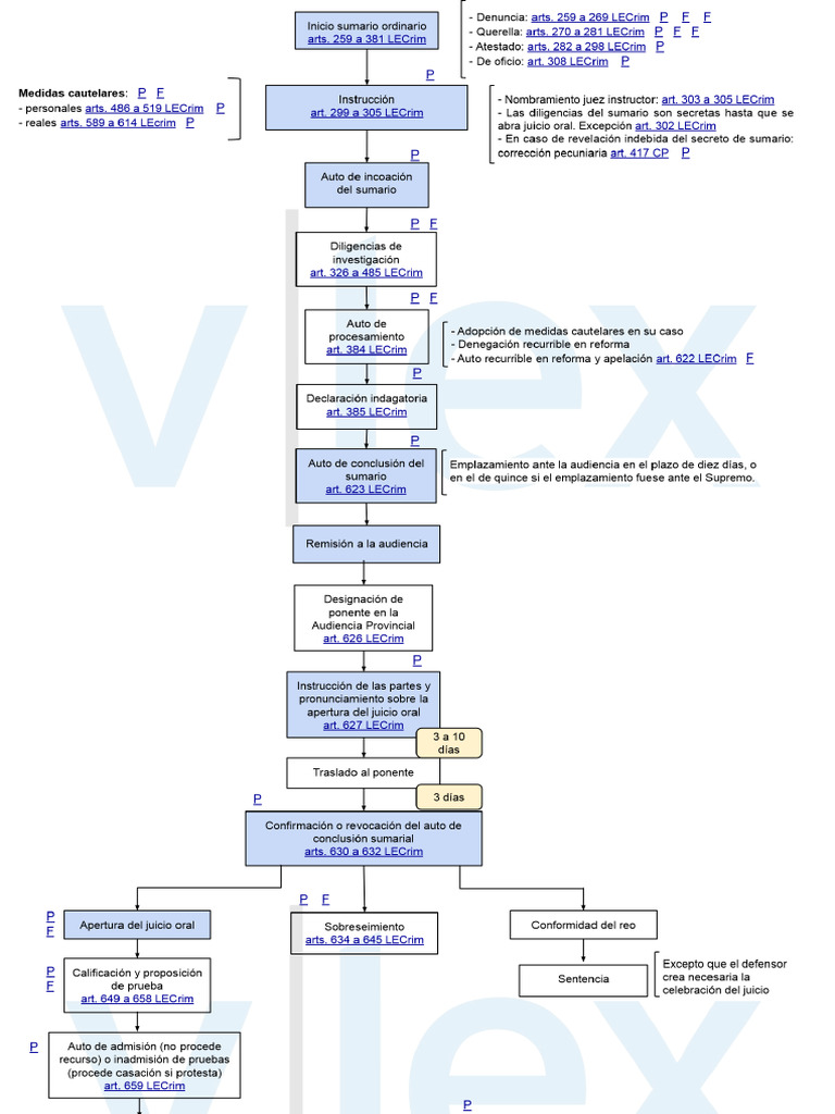 Esquema Sumario Ordinario Penal 2023 | PDF