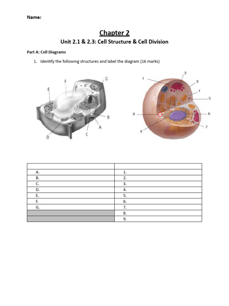 Chapter 2 Unit 2.1 and 2.3 Worksheet | PDF | Osmosis | Cell (Biology)