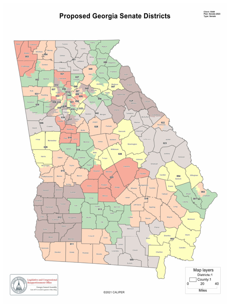 Senate District Demographics | PDF | Statistics | Statistical Analysis