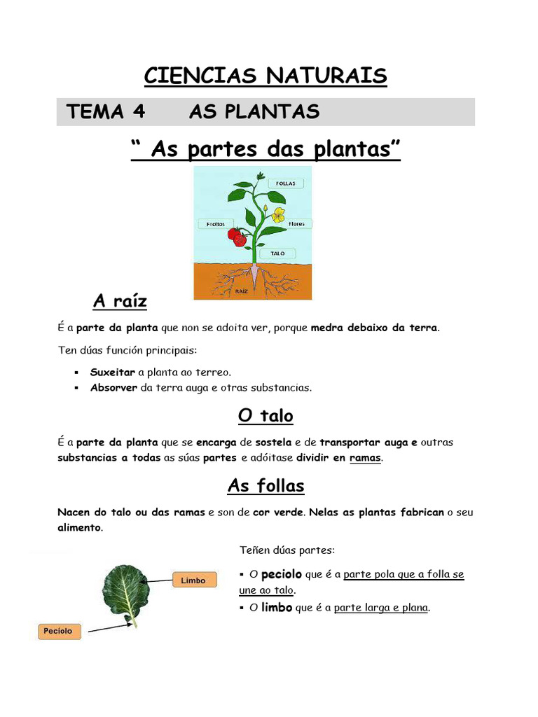 Tema 4 CIENCIAS NATURAIS | PDF