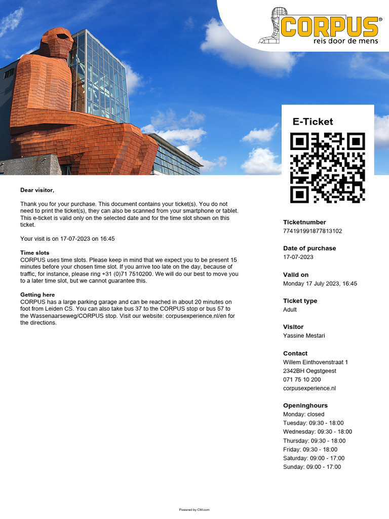 E-Ticket: Dear Visitor | PDF