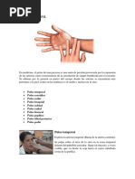 Ubicación del pulso cubital | PDF