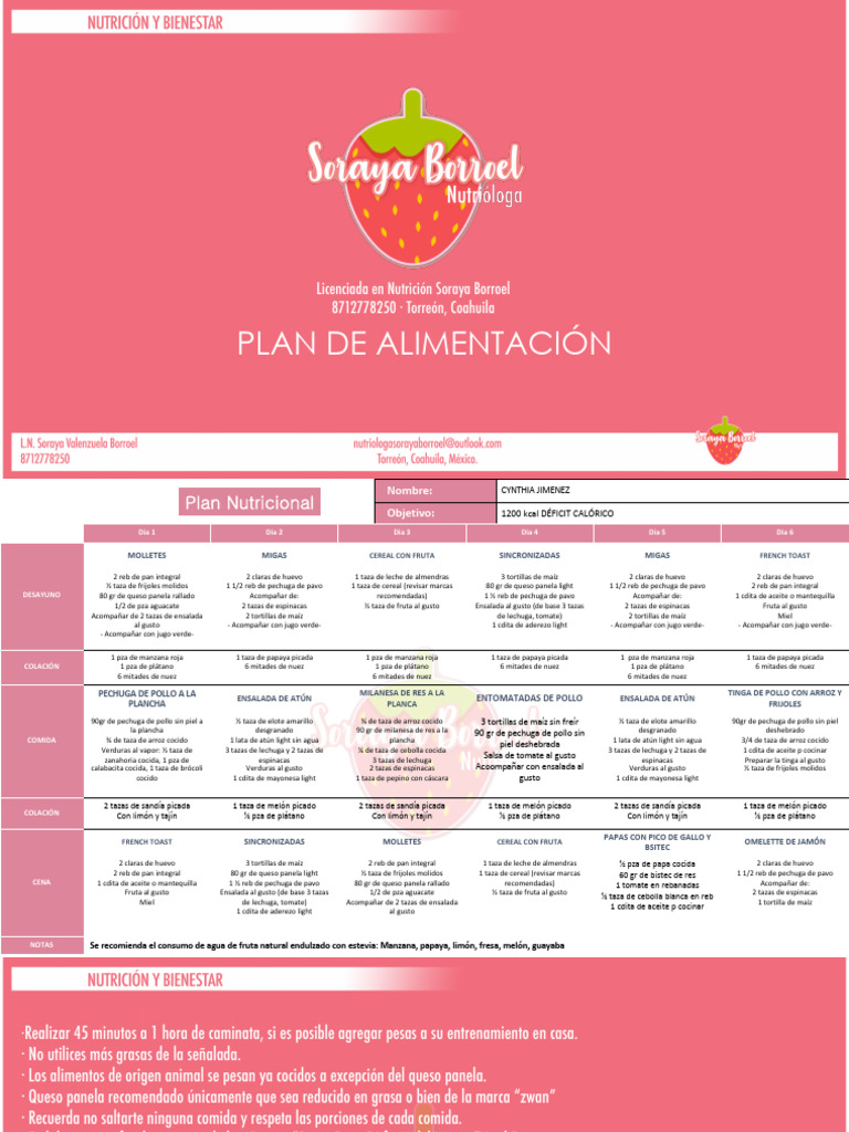 Plan 2 Cynthia Jimenez | PDF | ensalada | Alimentos