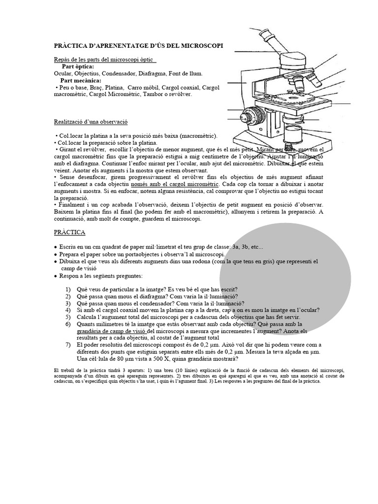 6practica Funcionament Microscopi | PDF
