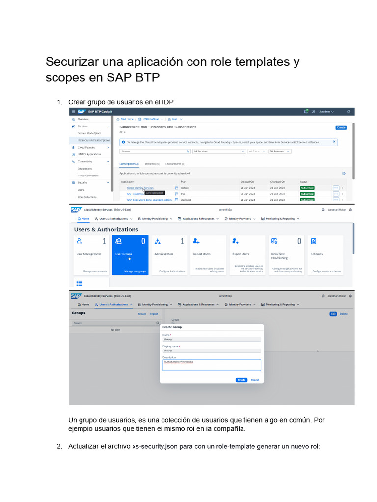 Administración de Roles SAP BTP | PDF | Informática