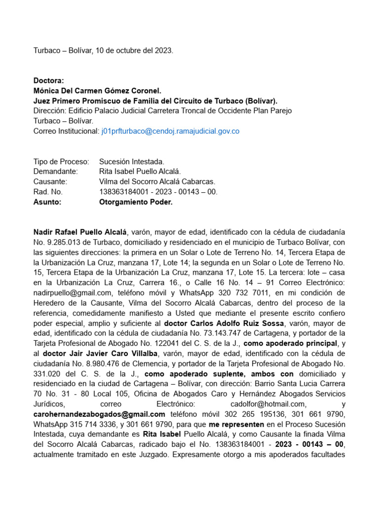 Rad No. 143 del 2023 Poder Nadir Rafael Puello Alcala (Sucesión) | PDF ...