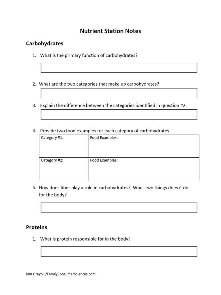 Nutrient Stations Notes Form | PDF | Vitamin | Foods