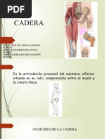 Articulación Coxofemoral Cuadro Integrador | PDF | Rodilla | Cadera