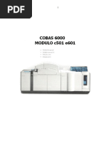 Cobas Infinity - Manual Operador | PDF | Ventana (informática ...