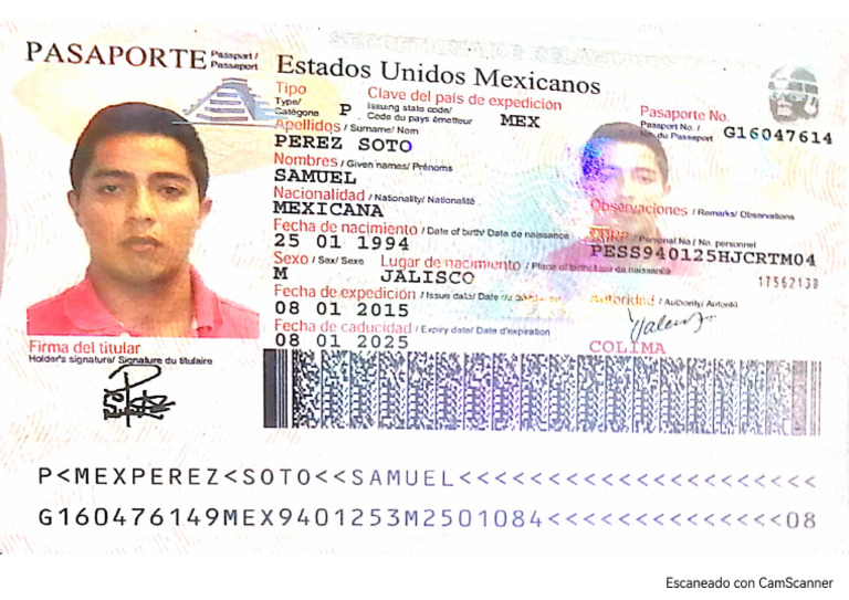 Identificación Pasaporte (2) | PDF