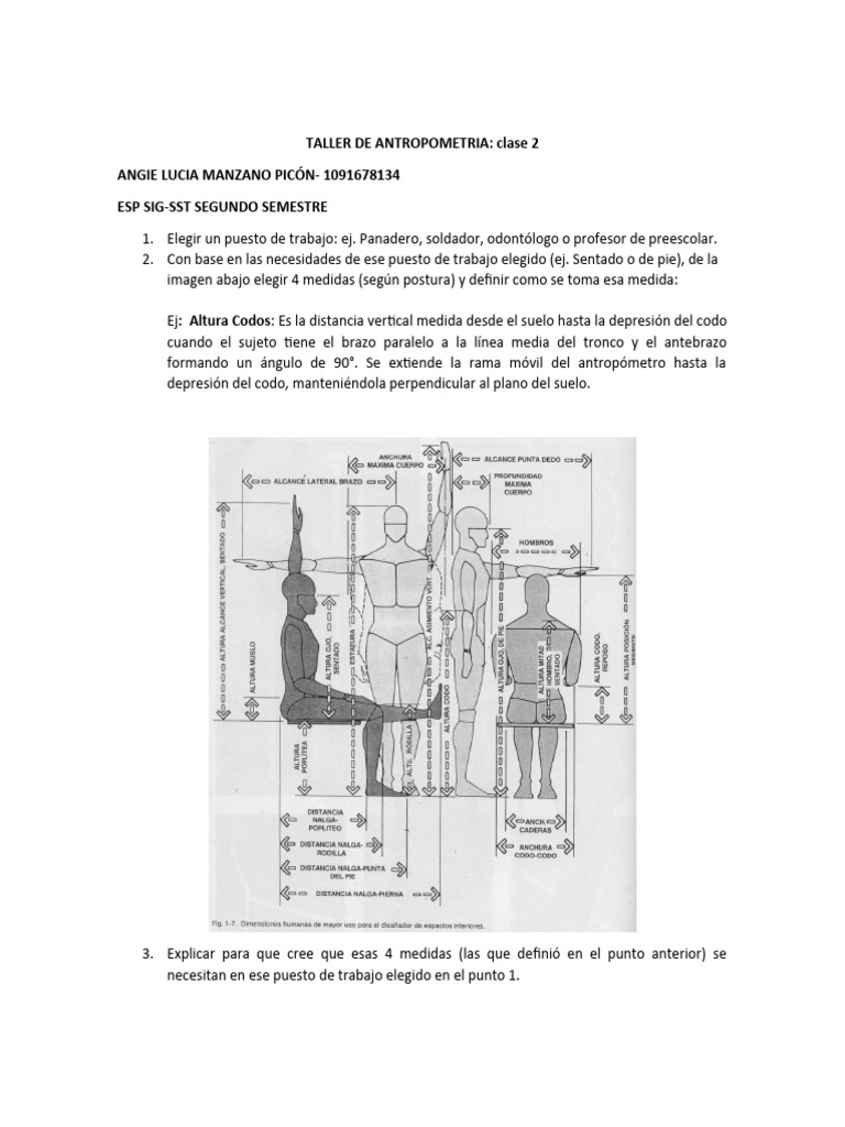 Taller De Antropometria Pdf