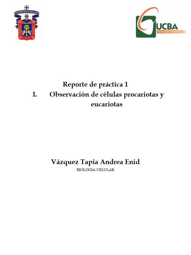 Reporte Practica 1 23A | PDF | Biología Celular) | Biología
