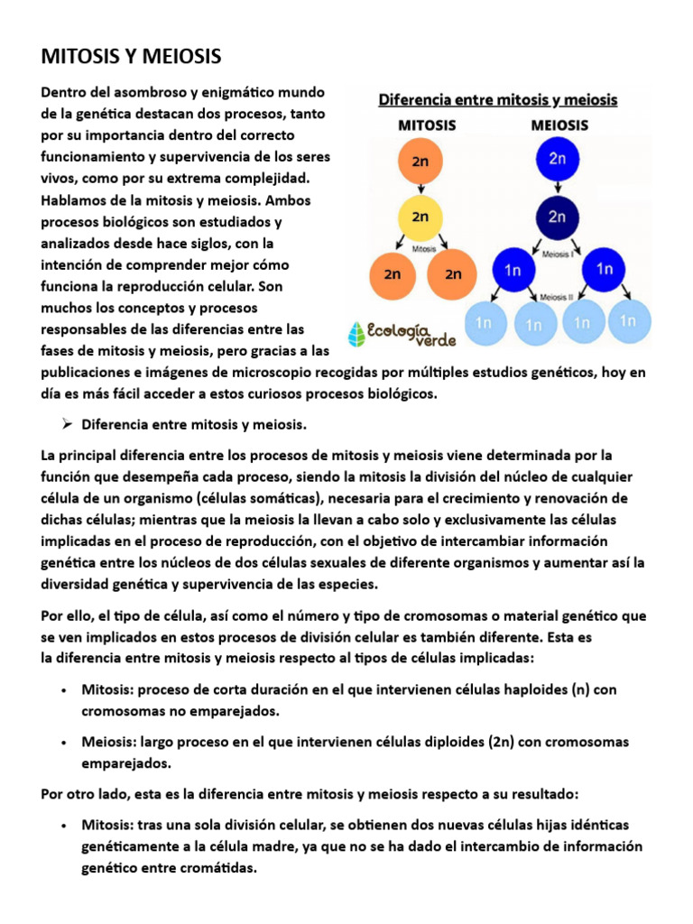 Mitosis y Meiosis | Descargar gratis PDF | Mitosis | Mitosis