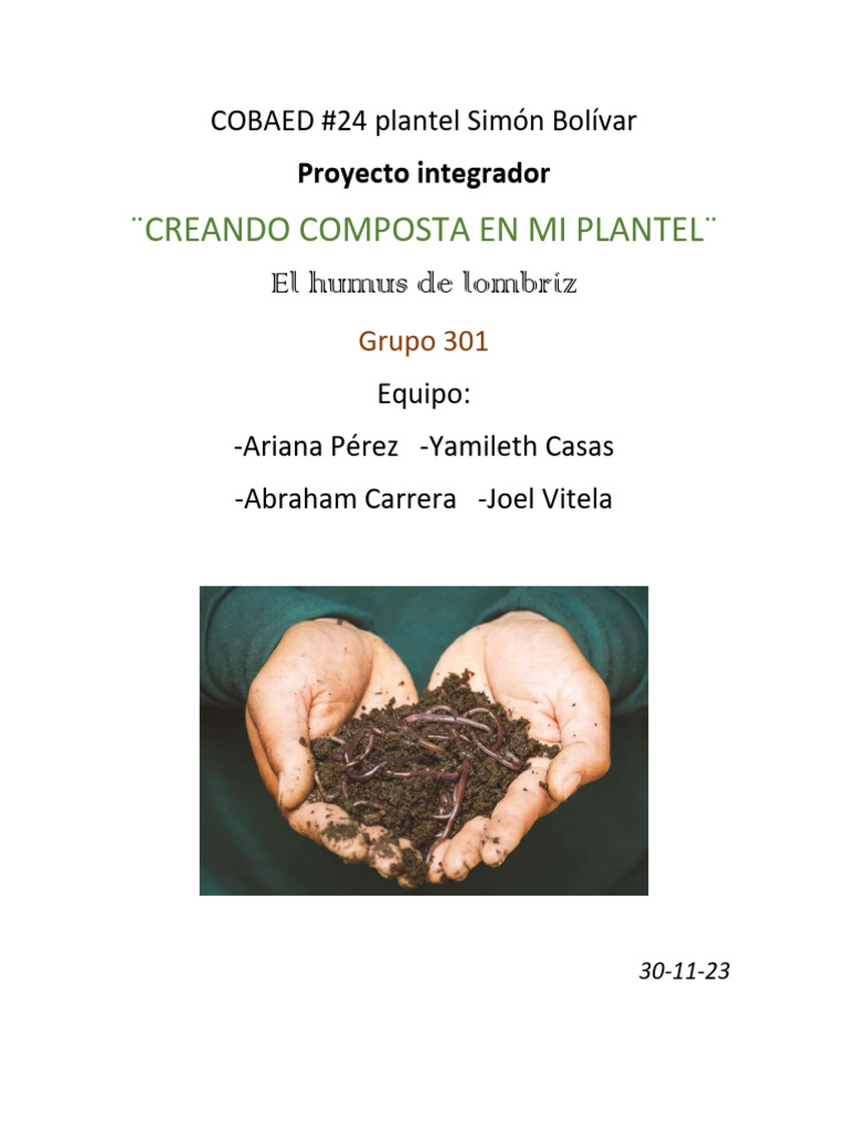 Proyecto Integrador | PDF | Residuos | Compost