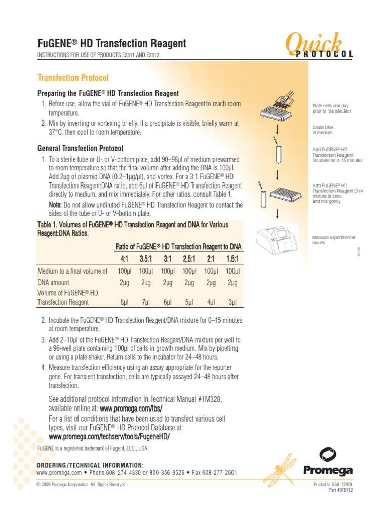 Fugene HD Transfection Reagent Quick Protocol | PDF | Transfection ...