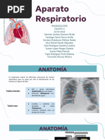 Radiografía de Tórax Normal - Patrón Intersticial | PDF | Pulmón | Tórax