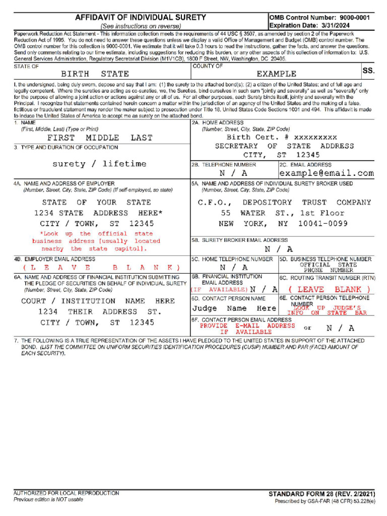 Individual Surety Template | PDF
