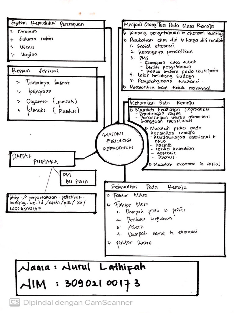 Nurul Lathifah - 173 - Tugas Mind Mapping | PDF