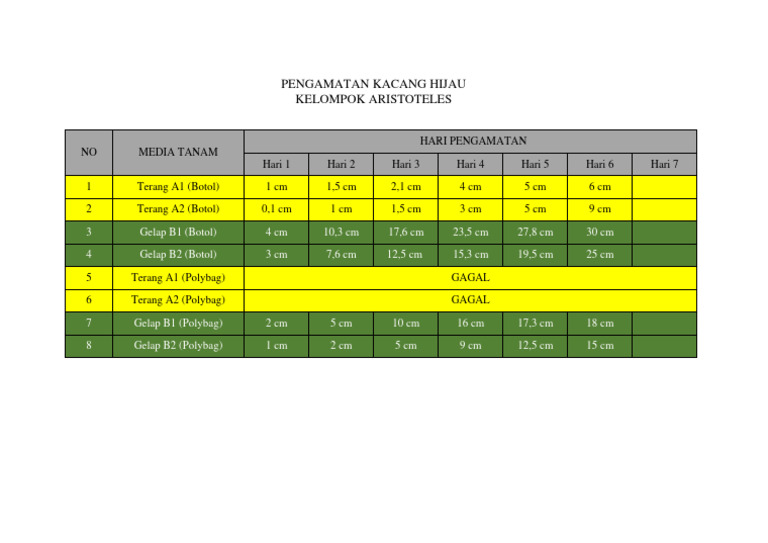 Pengamatan Kacang Hijau | PDF