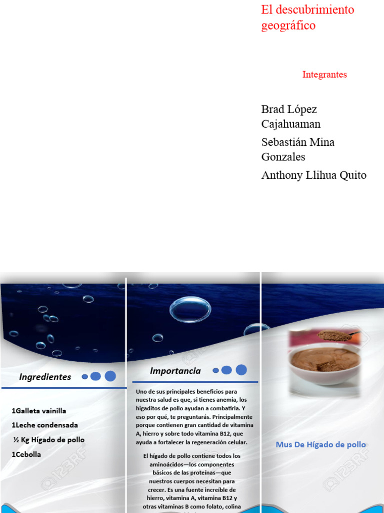 Triptico Proyecto | PDF