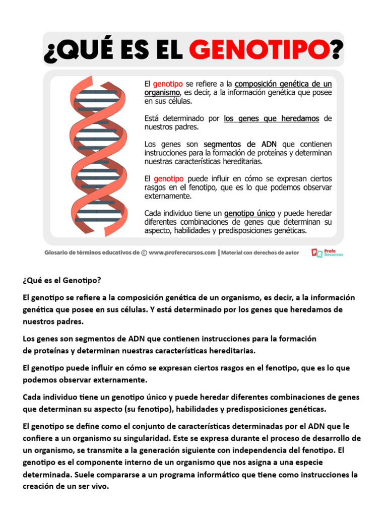 Qué es el Genotipo | PDF | Tipo de sangre | Genotipo