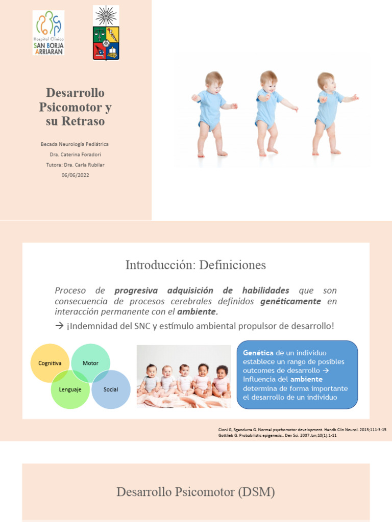 Desarrollo Psicomotor y Su Retraso | PDF | Discapacidad intelectual | Epilepsia