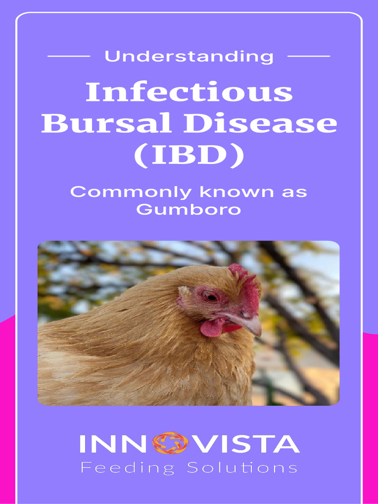 Understanding Infectious Bursal Disease (IBD) | PDF | Animal Virology ...