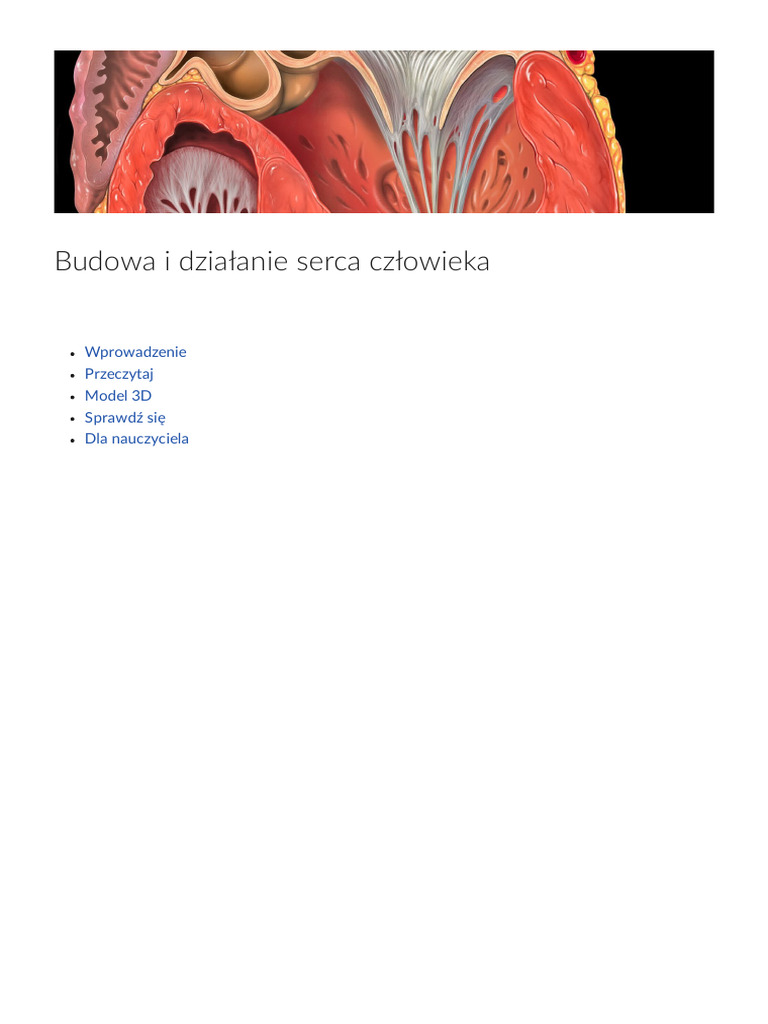 Budowa I Dzialanie Serca Czlowieka | PDF