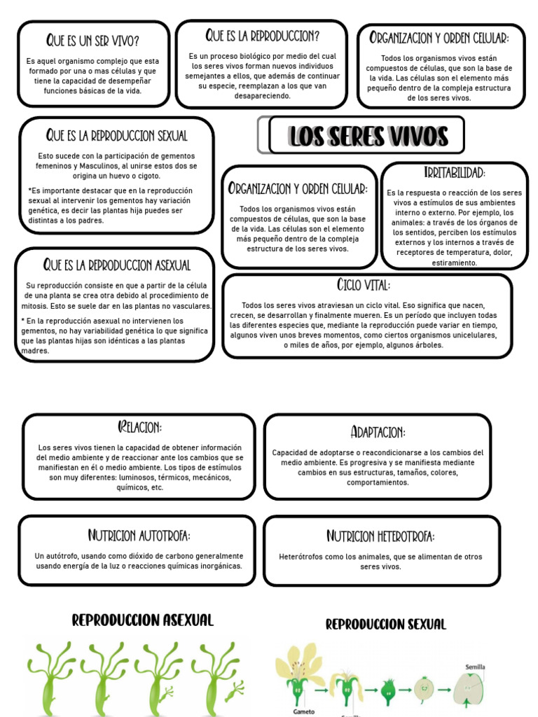 Los Seres Vivos | PDF | Organismos | Plantas