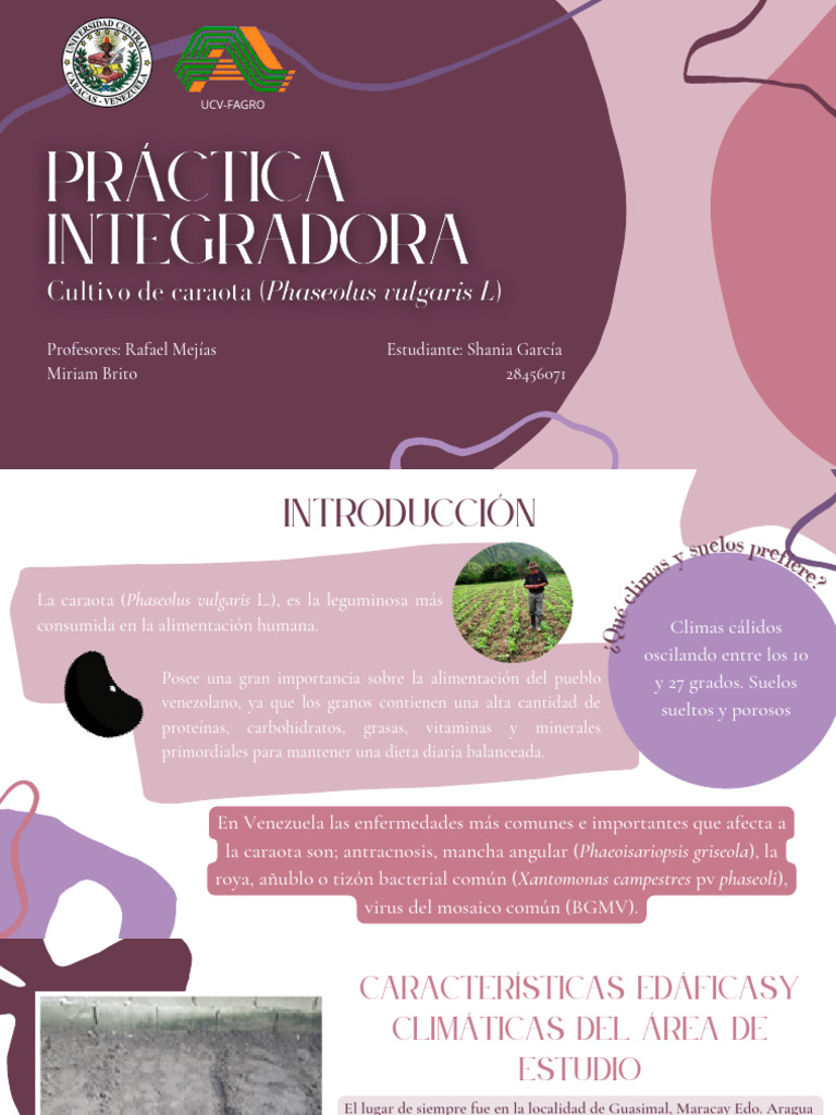 Práctica Integradora | PDF | Control biológico de plagas