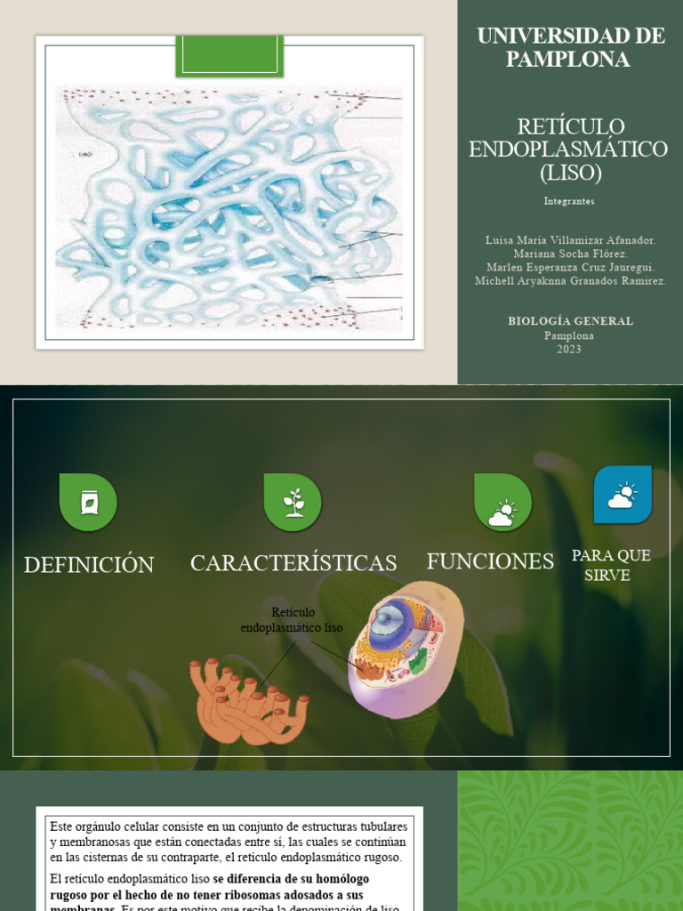 Funciones del Retículo Endoplasmático Liso | PDF | Retículo ...