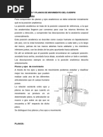 Ejes, Planos y Posiciones Anatómicas | PDF | Términos anatómicos de ubicación | Hombro