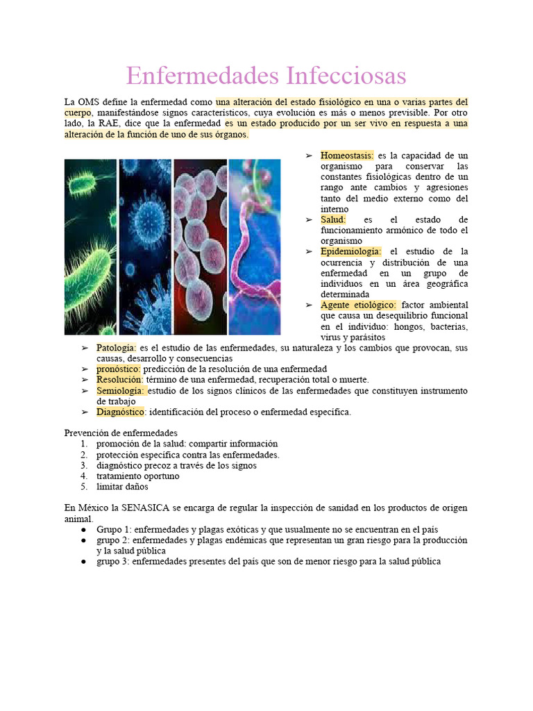 Enfermedades Infecciosas | Descargar gratis PDF | Infección | Tos