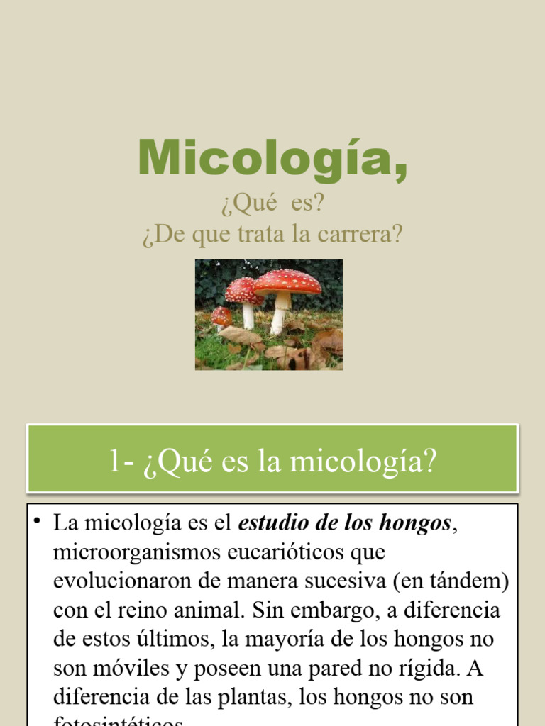 Micología: El Estudio de Los Hongos. | PDF | Hongo | Micología