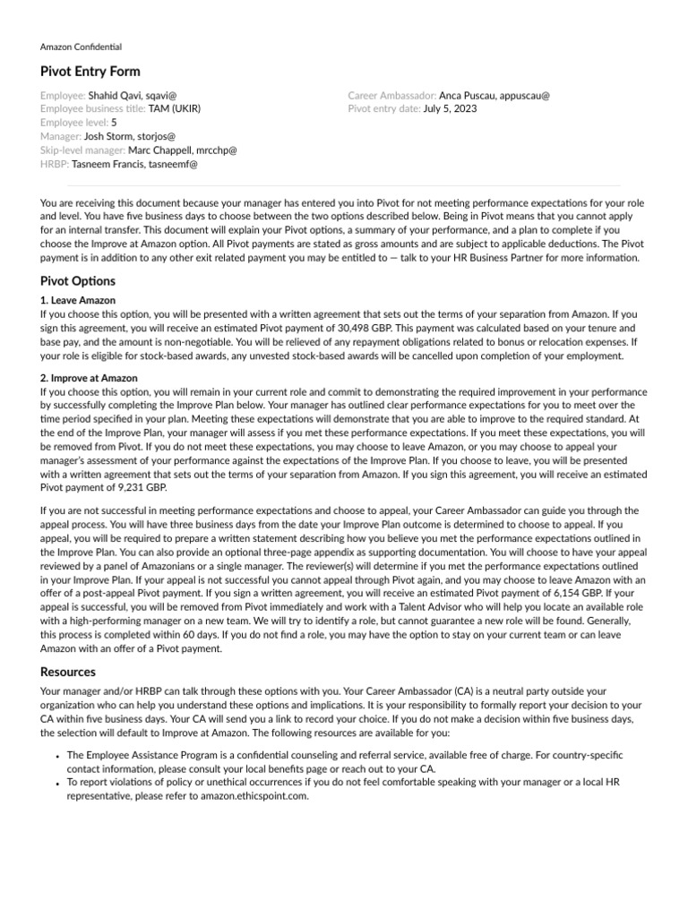 Pivot Entry Form | PDF