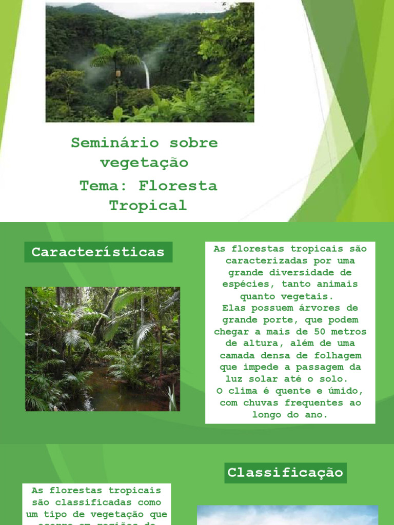 Características da Floresta Tropical | PDF | Florestas | Floresta Amazônica