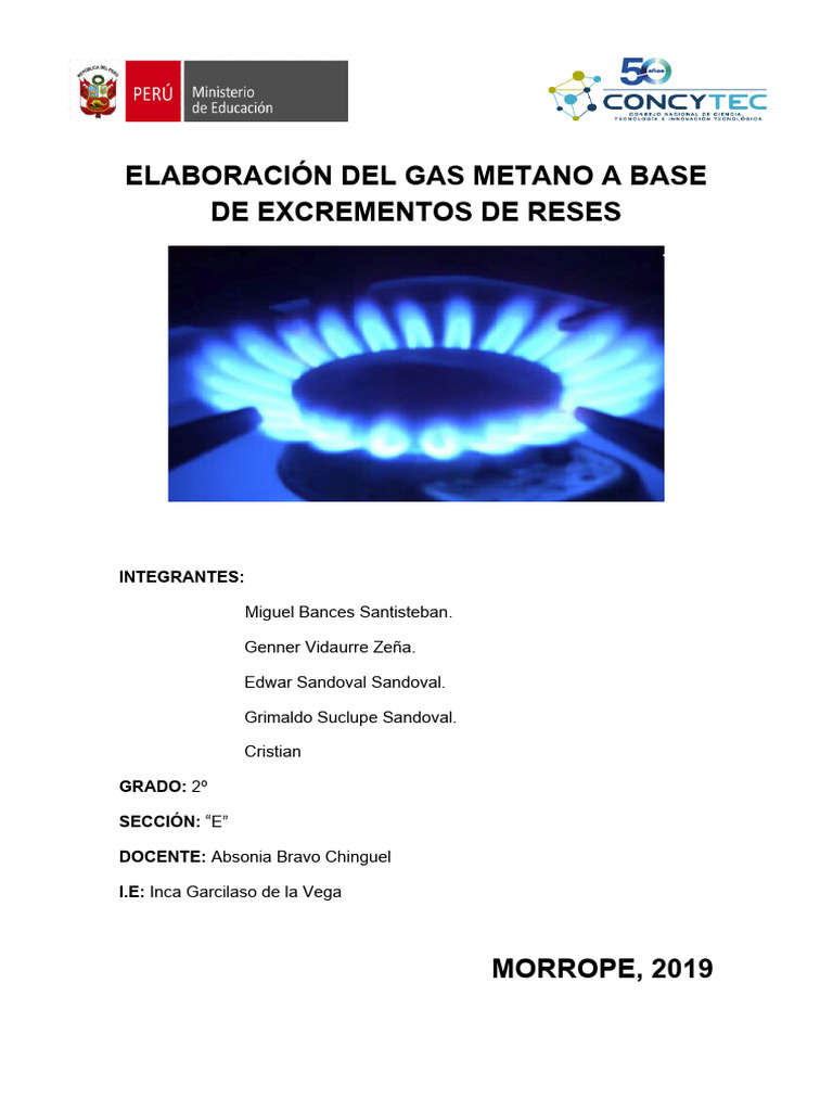 Gas Metano de Excremento de Reses | PDF | Gas natural | Metano