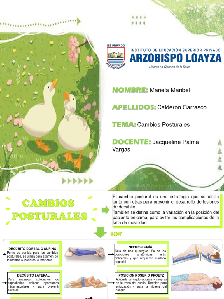 Cambios Posturales | PDF | Especialidades Medicas | Medicina CLINICA