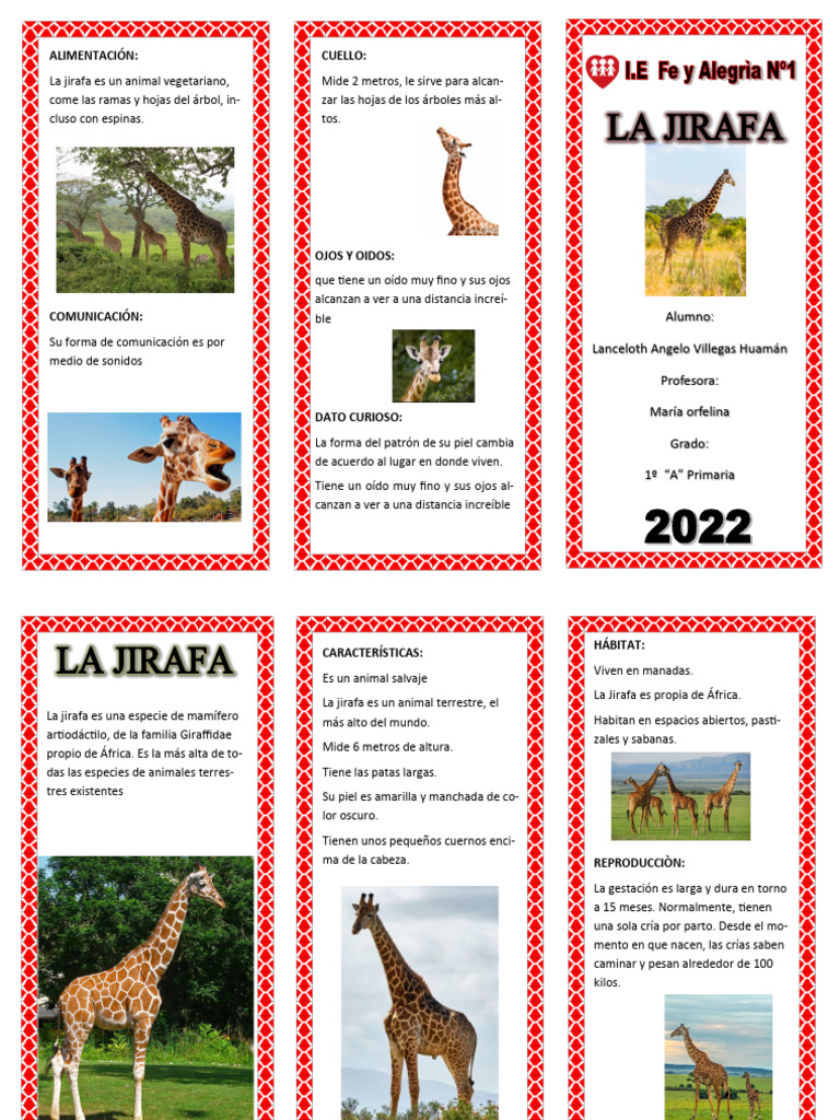 Jirafa 1 | PDF