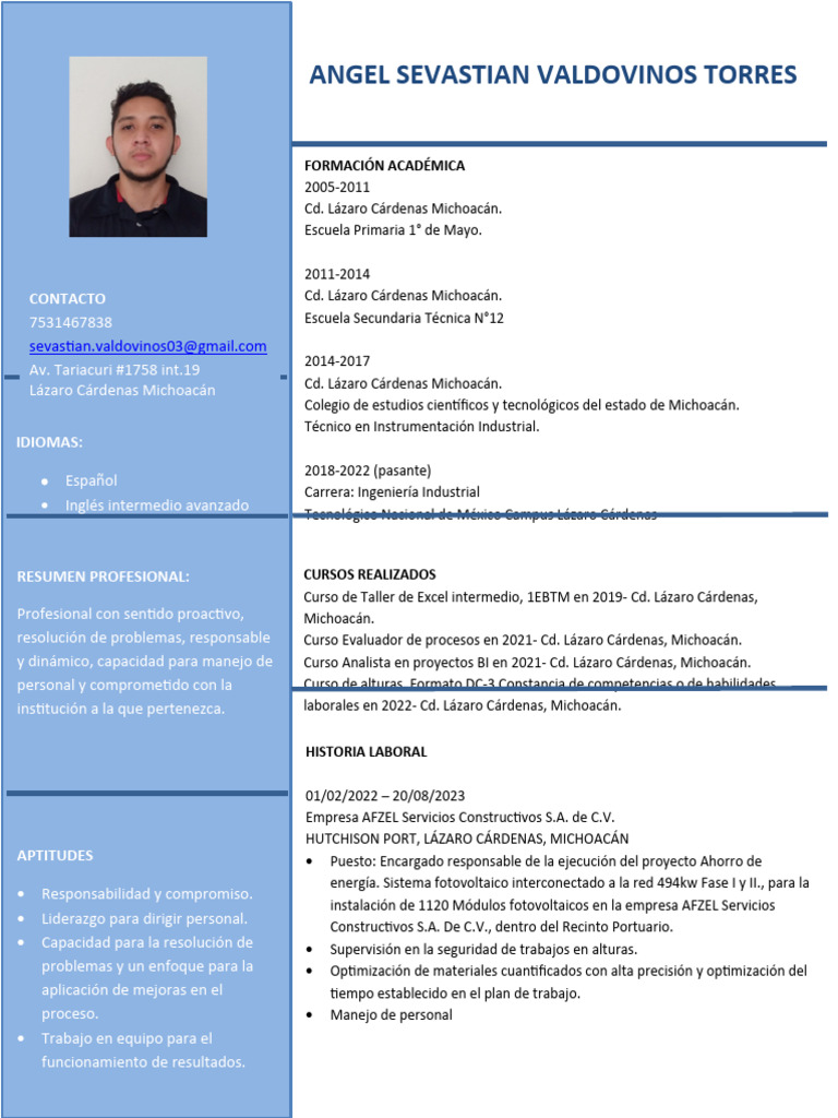 Angel Sevastian Valdovinos Torres CV | PDF