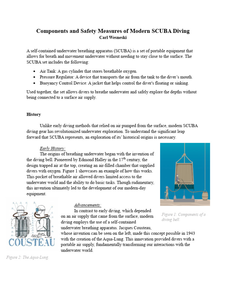 Definition and Description | PDF | Scuba Diving | Underwater Diving