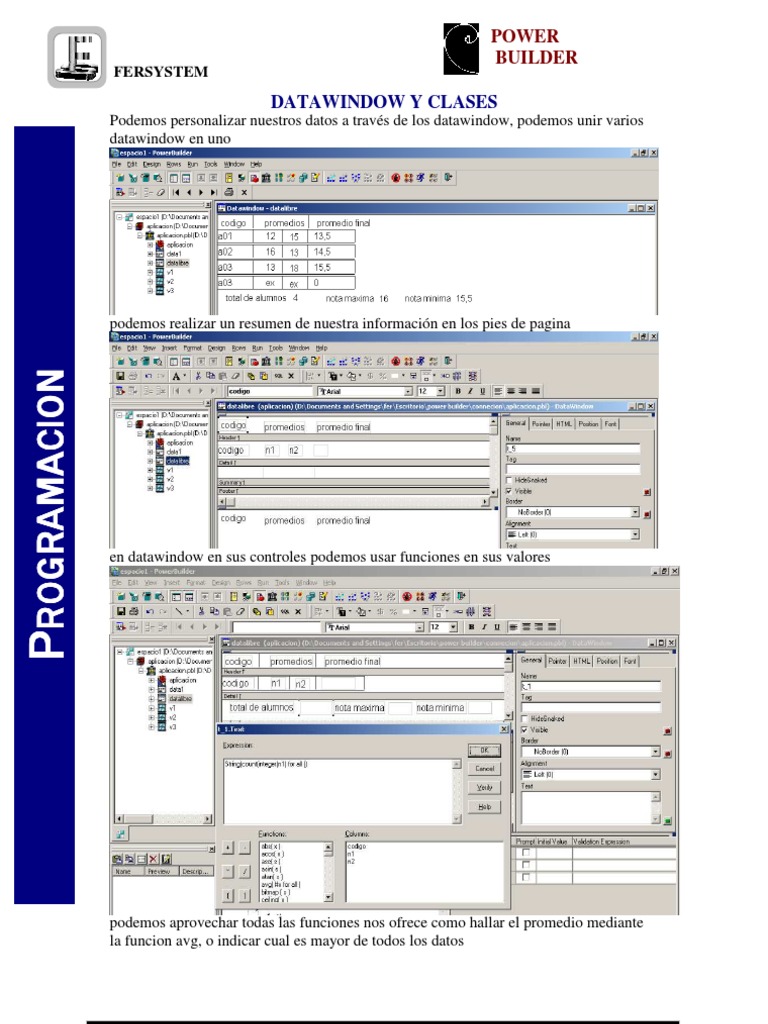 Power Builder Data Windows | PDF