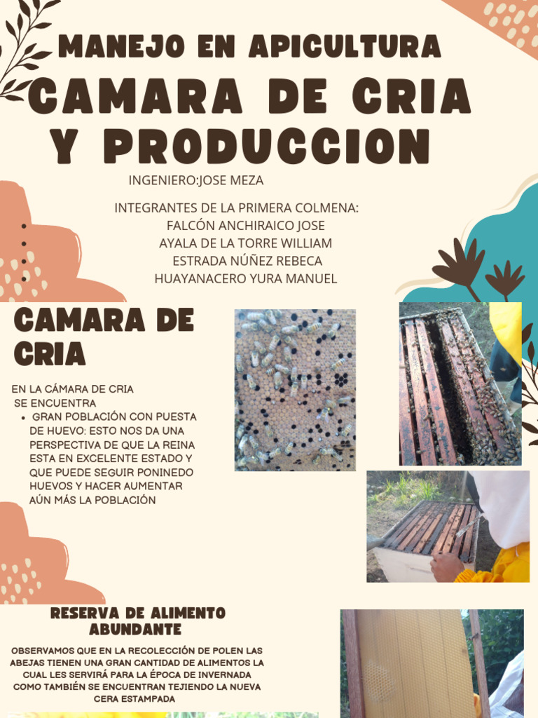 Manejo de Abejas en Camara de Cria y Camara de Produccion | PDF Manejo de Abejas en Camara de Cria y Camara de Produccion | PDF