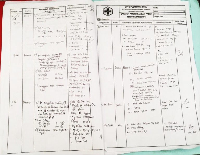 CPPT Petugas Gizi Bagu | PDF