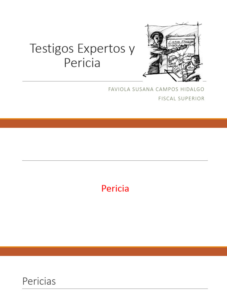 Testigo Experto y Pericia | PDF | Testigo experto | Experto