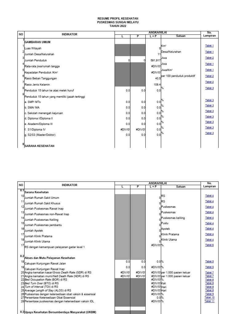 Lampiran Juknis Profil Kes - 2022 | PDF
