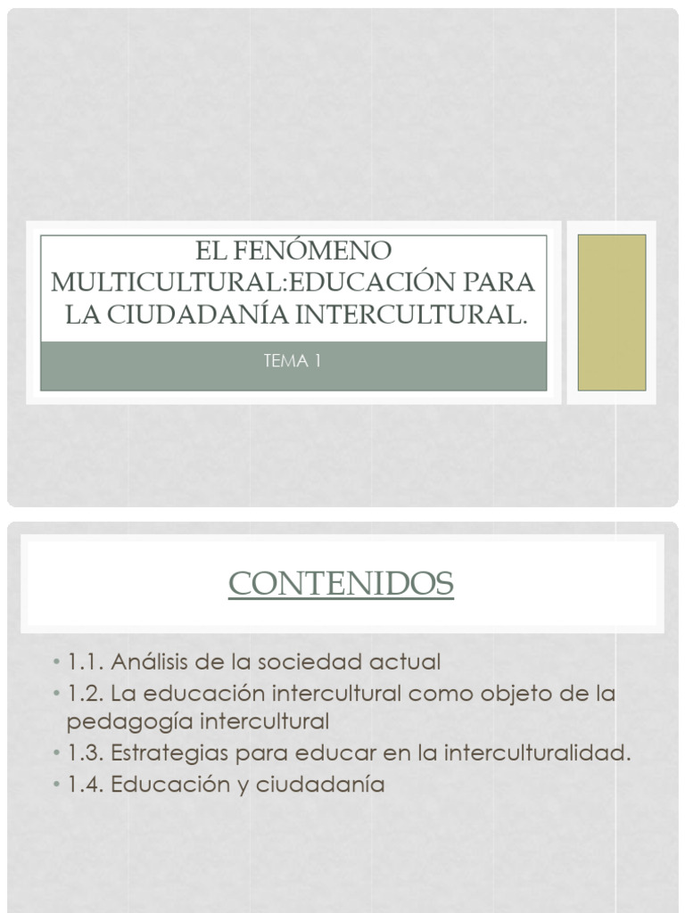 2022-2023. El Fenómeno Multicultural - Educación para La Ciudadanía Intercultural | Descargar ...